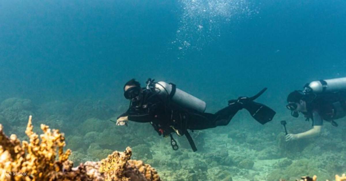 與 Padi 度假村一起在棉蘭老島錫亞高享受 2 次有趣的潛水 Klook香港
